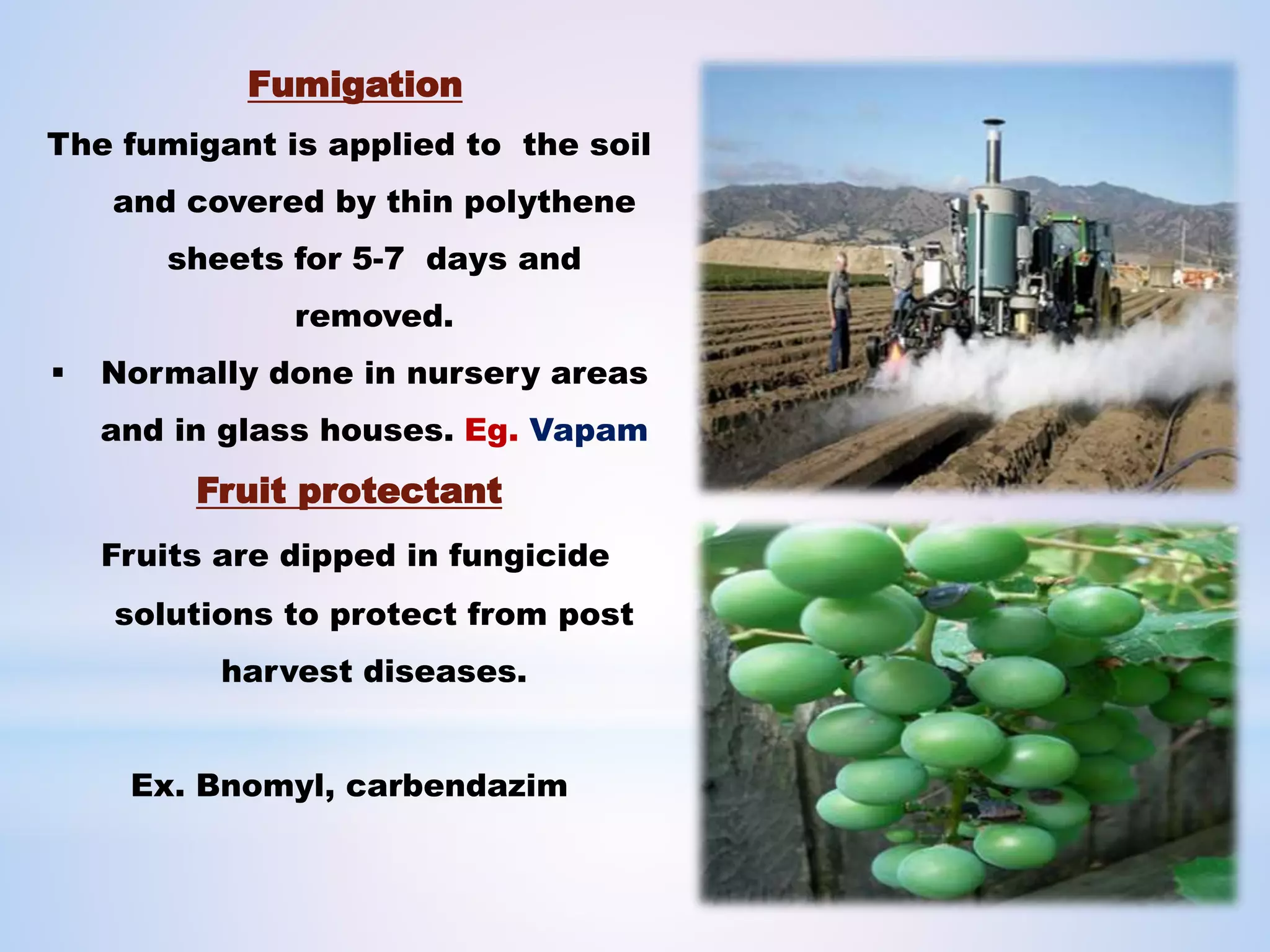 role of contact fungicides in the management of phytopathogens | PPTX