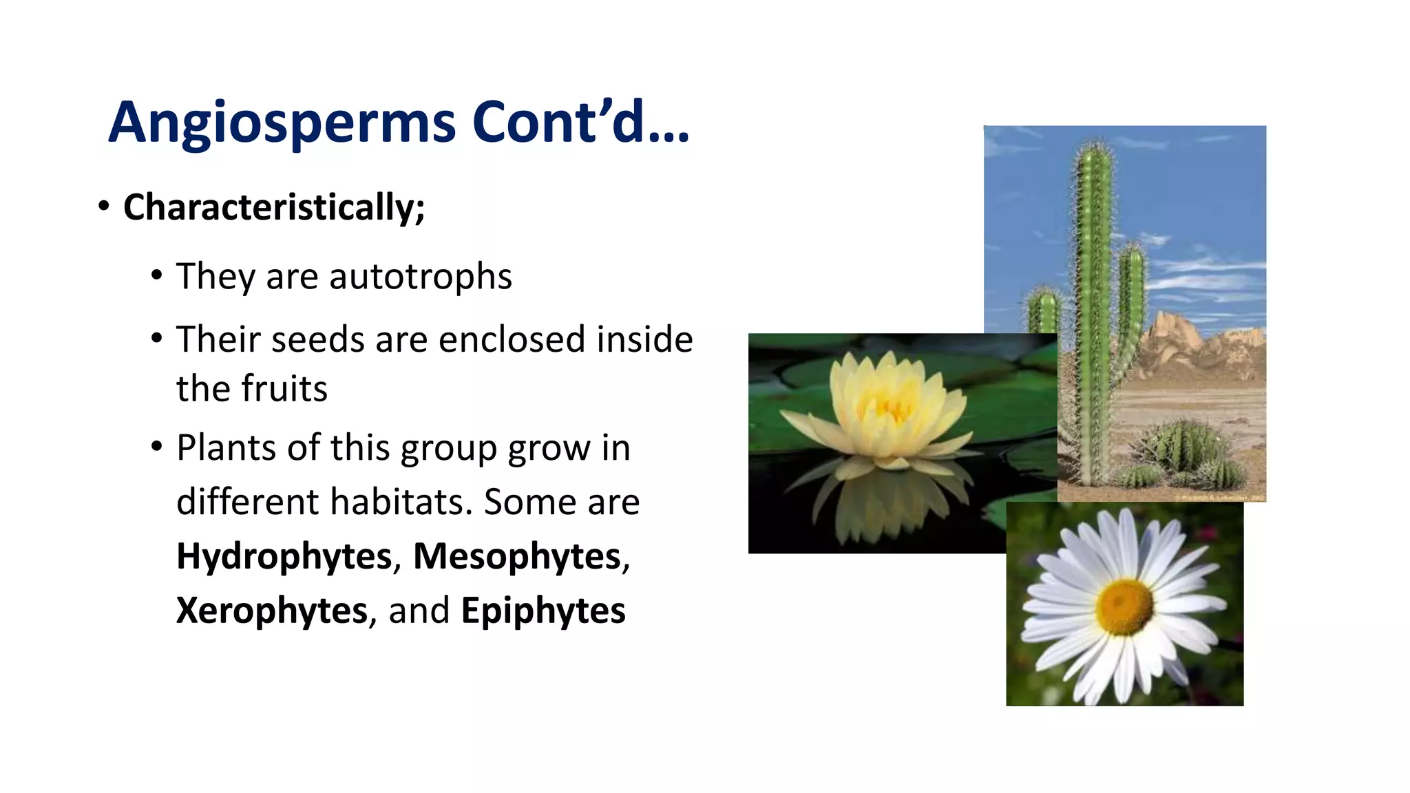 Introduction to Cryptogamic Botany | PPTX