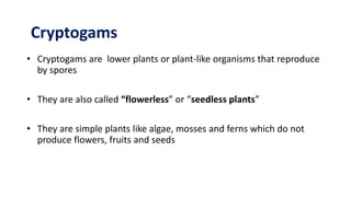 Introduction to Cryptogamic Botany | PPTX