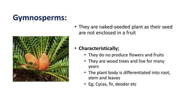 Introduction to Cryptogamic Botany | PPTX