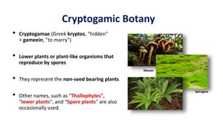 Introduction to Cryptogamic Botany | PPTX