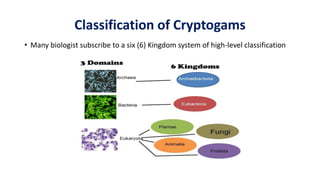 Introduction to Cryptogamic Botany | PPTX