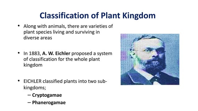 Introduction to Cryptogamic Botany | PPTX