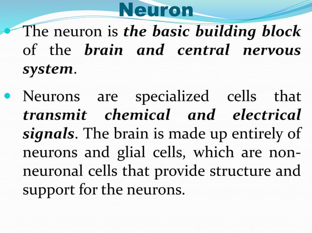 Neuron | PPT