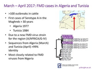 GS43_02. FMD global and regional surveillance reports | PDF