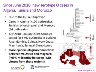 GS43_02. FMD global and regional surveillance reports | PPT