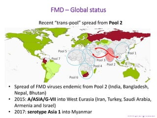 GS43_02. FMD global and regional surveillance reports | PDF