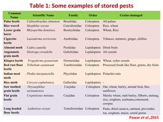 Sachin Kumar Jaiswal, IGKV, C.G. Role of CO2 and Ozone for stored pest ...