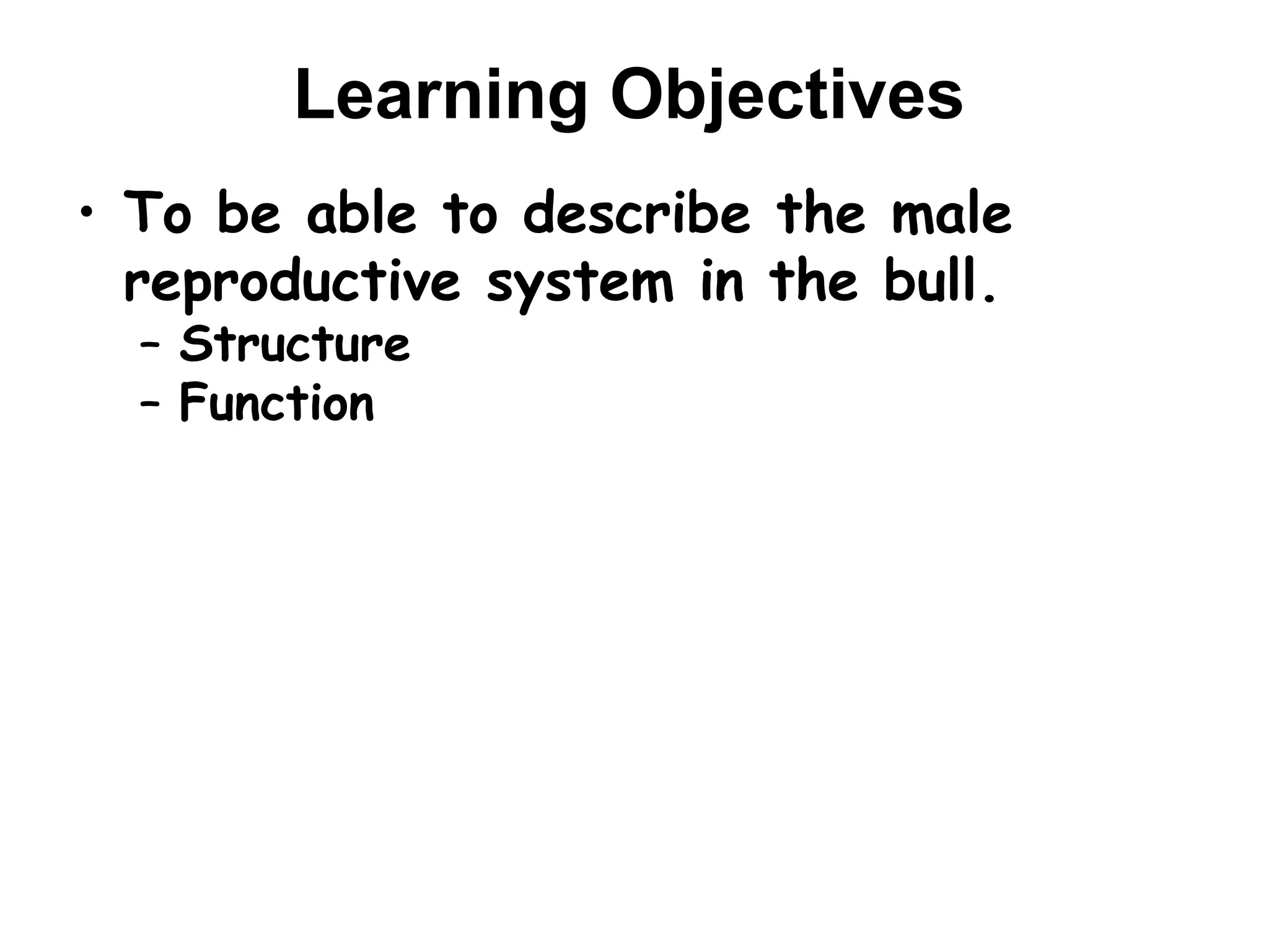 Male Reproductive Anatomy - Univ. of Winsconsin (Madison) | PPT