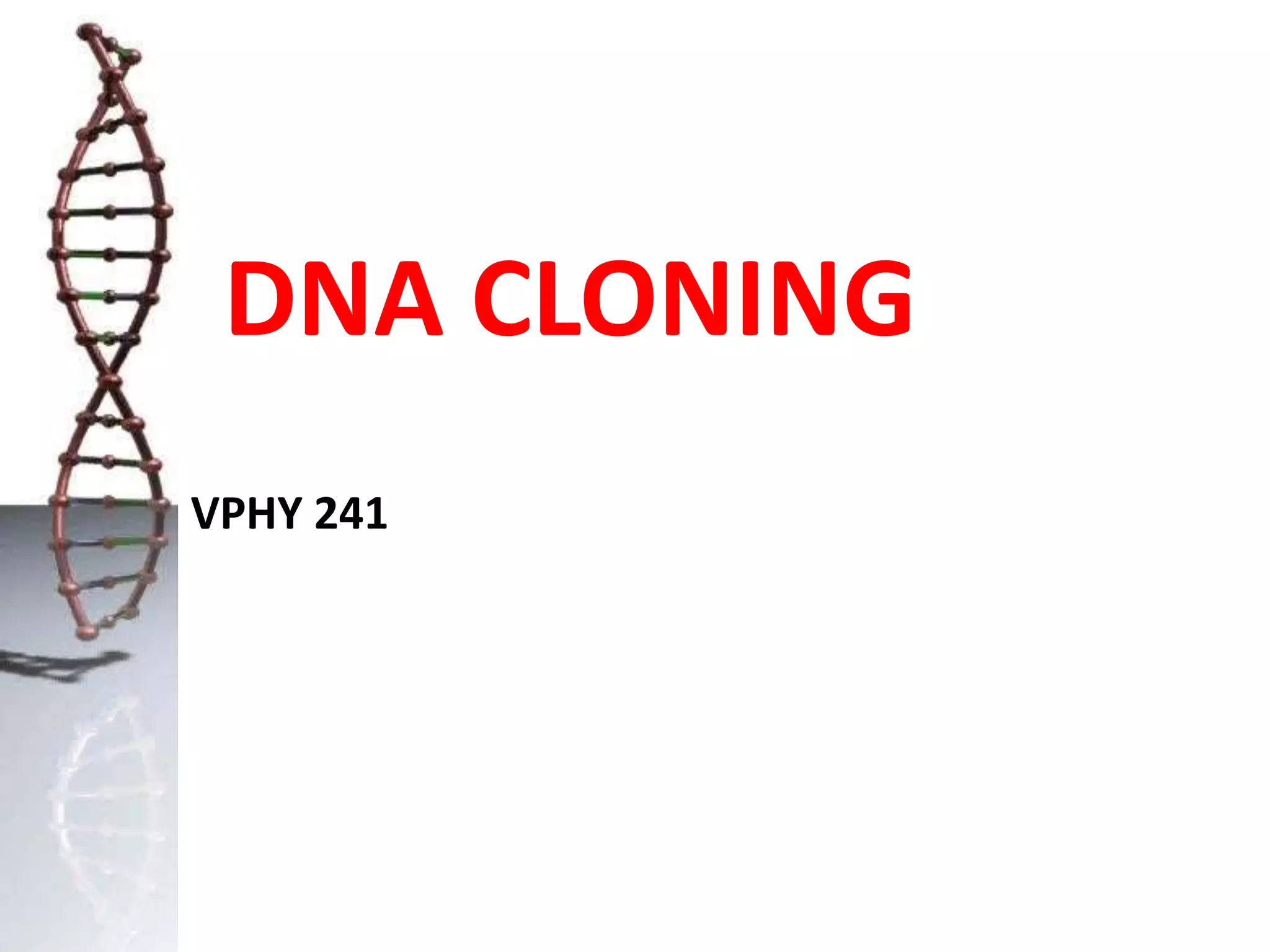 Introduction to DNA Cloning | PPT