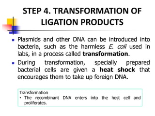 Introduction to DNA Cloning | PPTX