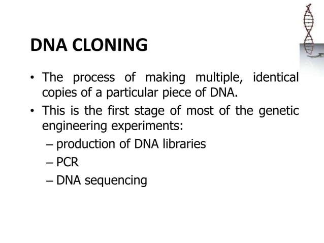 Introduction to DNA Cloning | PPTX | Biotech and Biomedical Industry ...