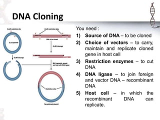 Introduction to DNA Cloning | PPTX