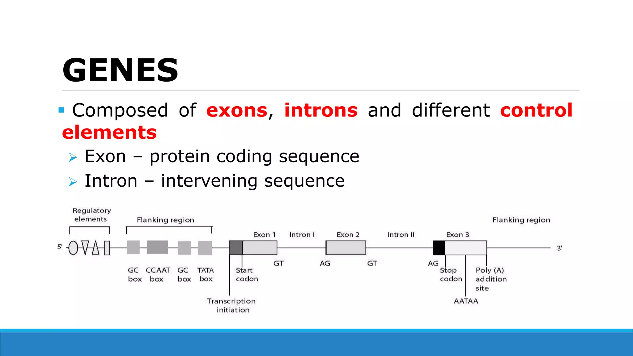 Genes, Genomics and Proteomics | PPTX
