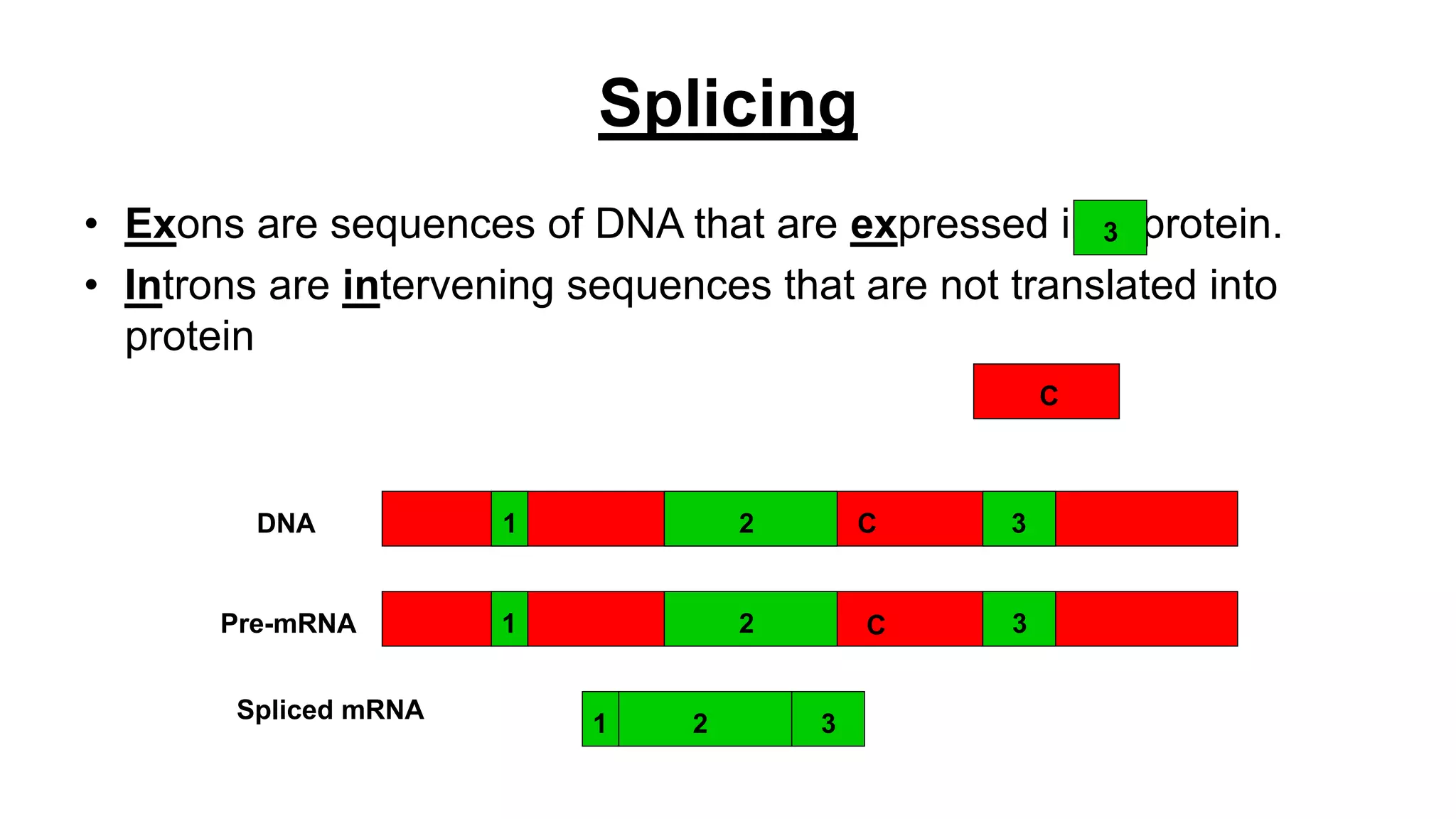 Genes, Genomics and Proteomics | PPTX