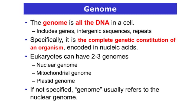 Genes, Genomics and Proteomics | PPTX | Genetics | Science