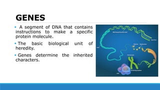 Genes, Genomics and Proteomics | PPTX