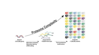 Genes, Genomics and Proteomics | PPTX