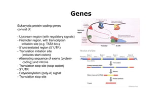 Genes, Genomics and Proteomics | PPTX