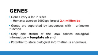 Genes, Genomics and Proteomics | PPTX