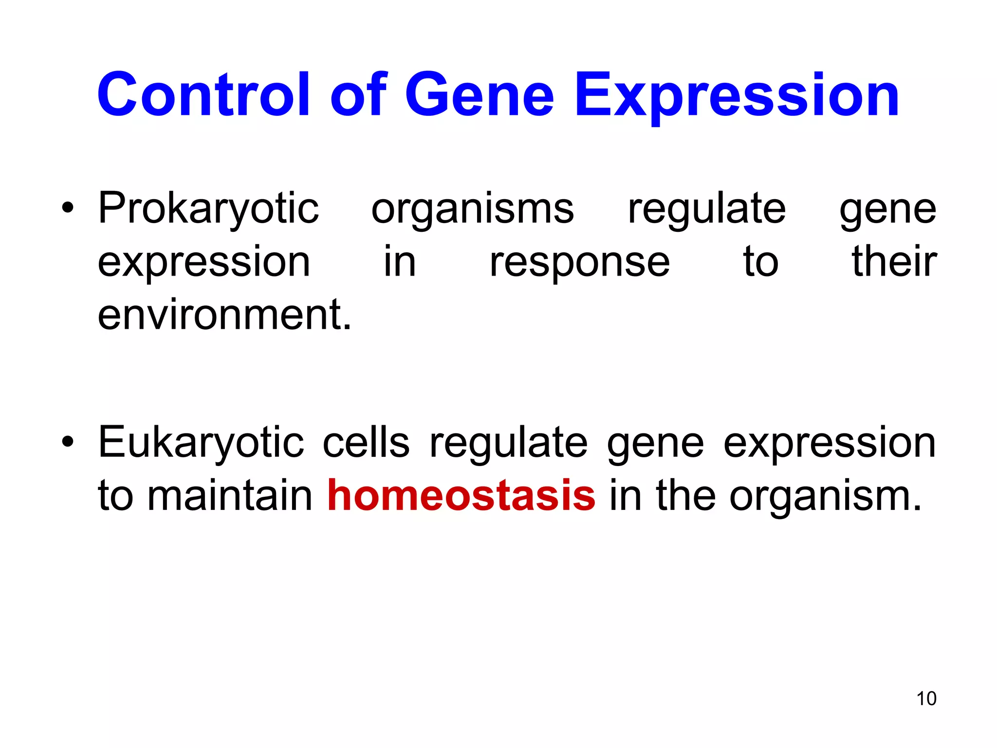 Regulation of Gene Expression | PPTX