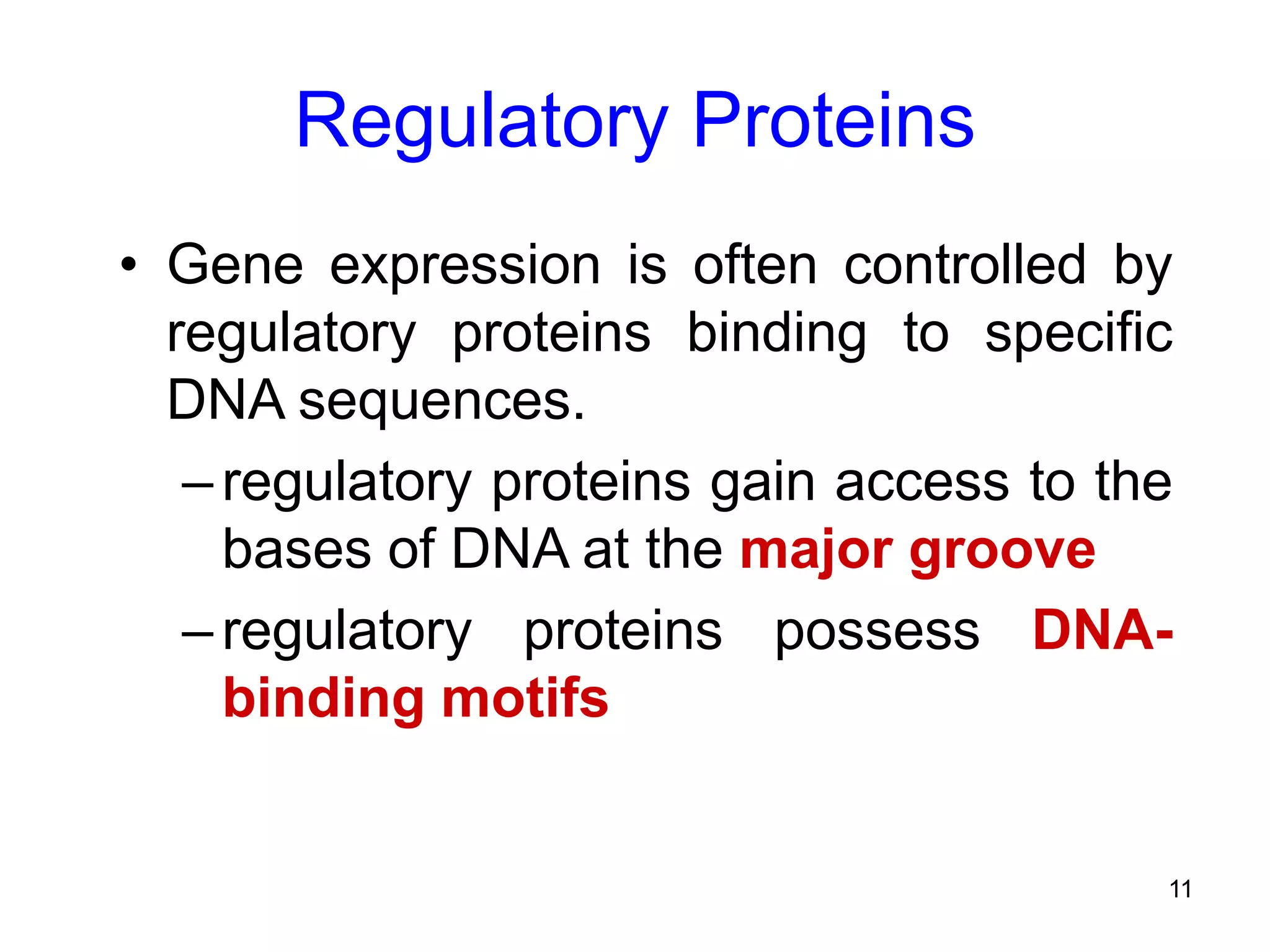 Regulation of Gene Expression | PPTX