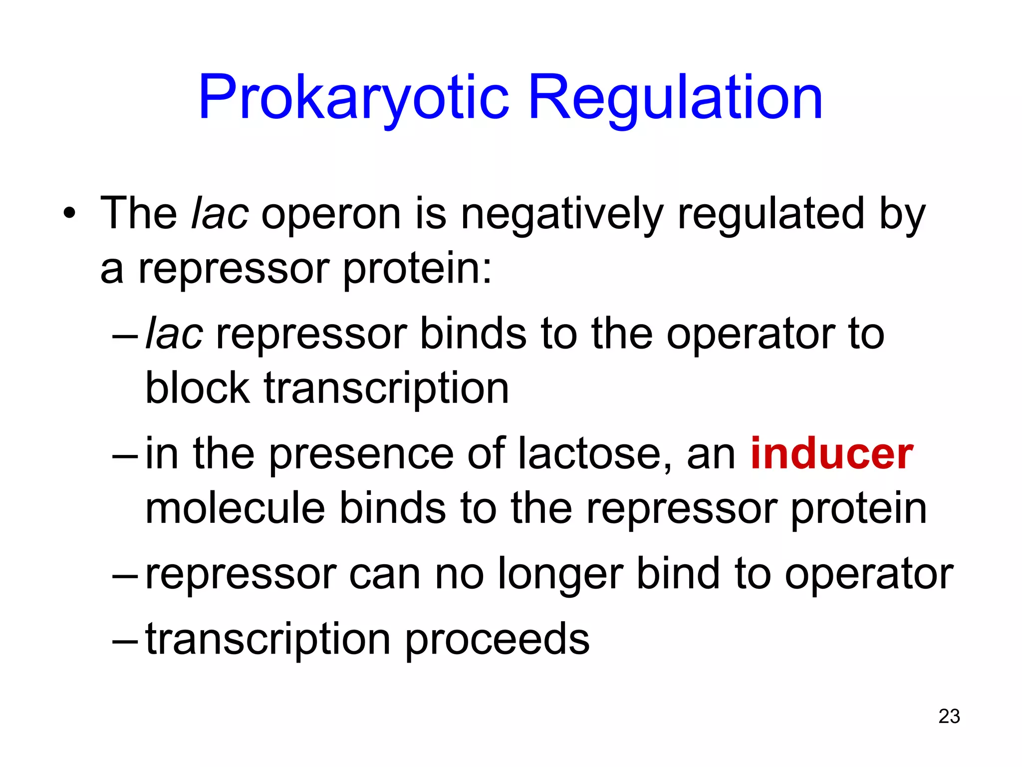 Regulation of Gene Expression | PPTX