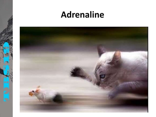 Current controversies in resuscitation | PPT