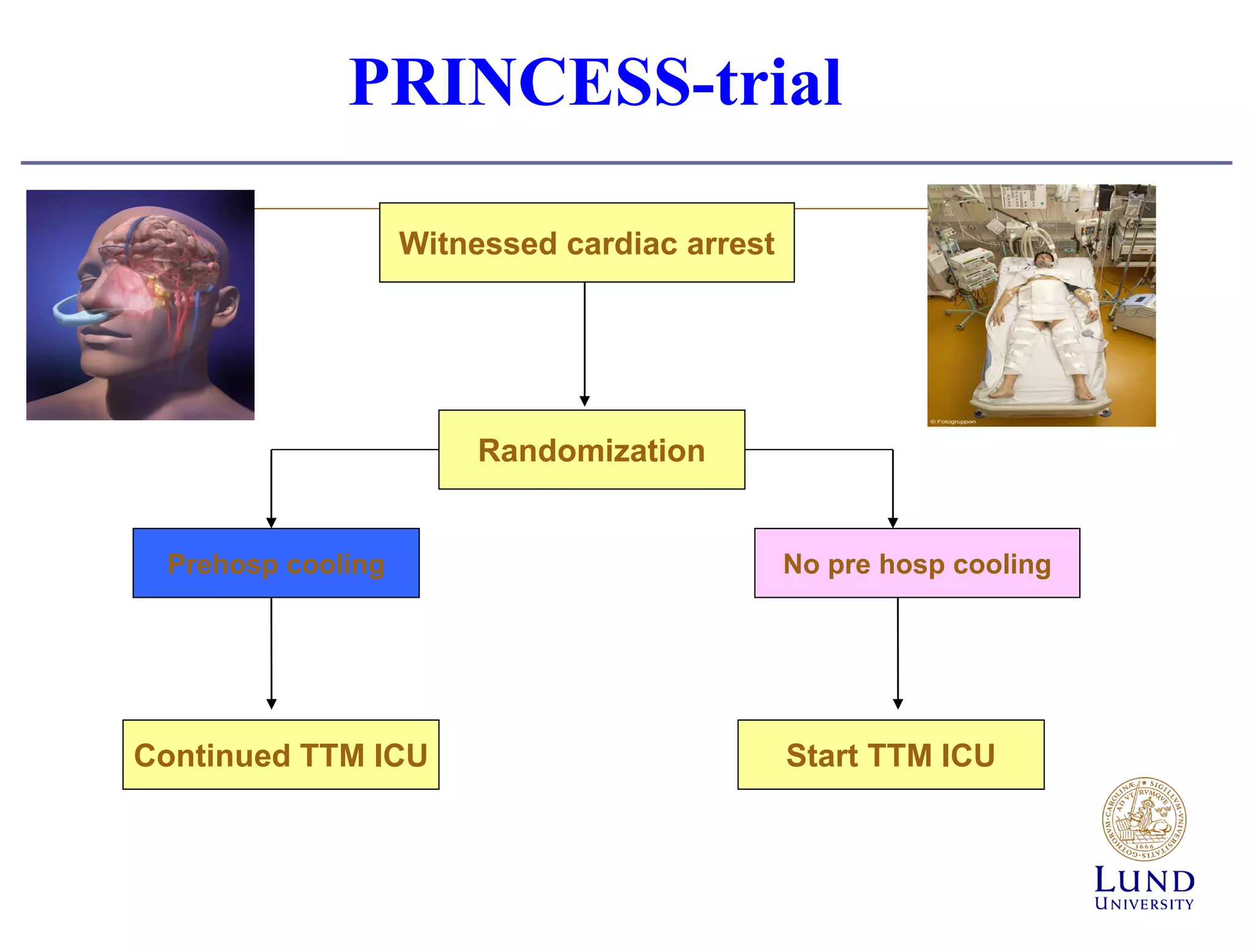 The TTM trials - why, how and what? | PDF