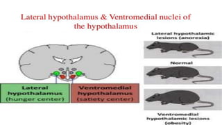2. git lecture 2 | PPT