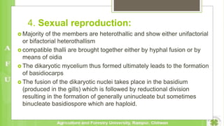 characteristics and importance of Agaricales order | PPT