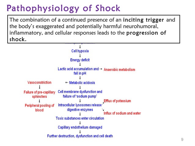 pediatric shock and shock management | PPT | Heart and Cardiovascular ...