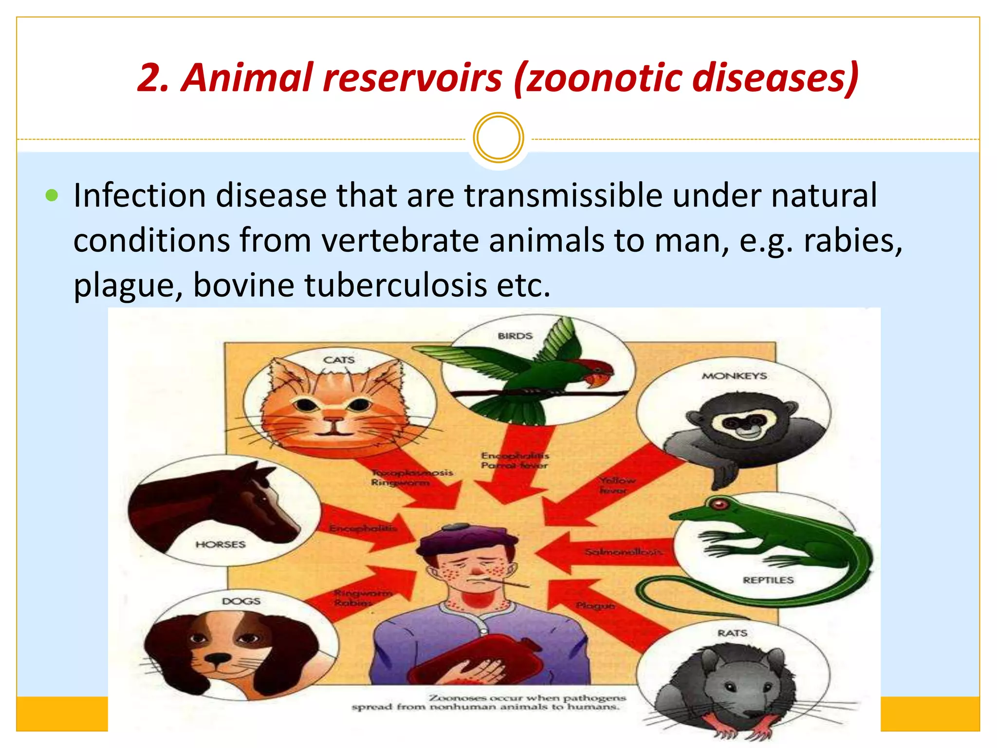 1.DYNAMICS OF DISEASE TRANSMISSION AND CHAIN OF INFECTIONS | PPTX