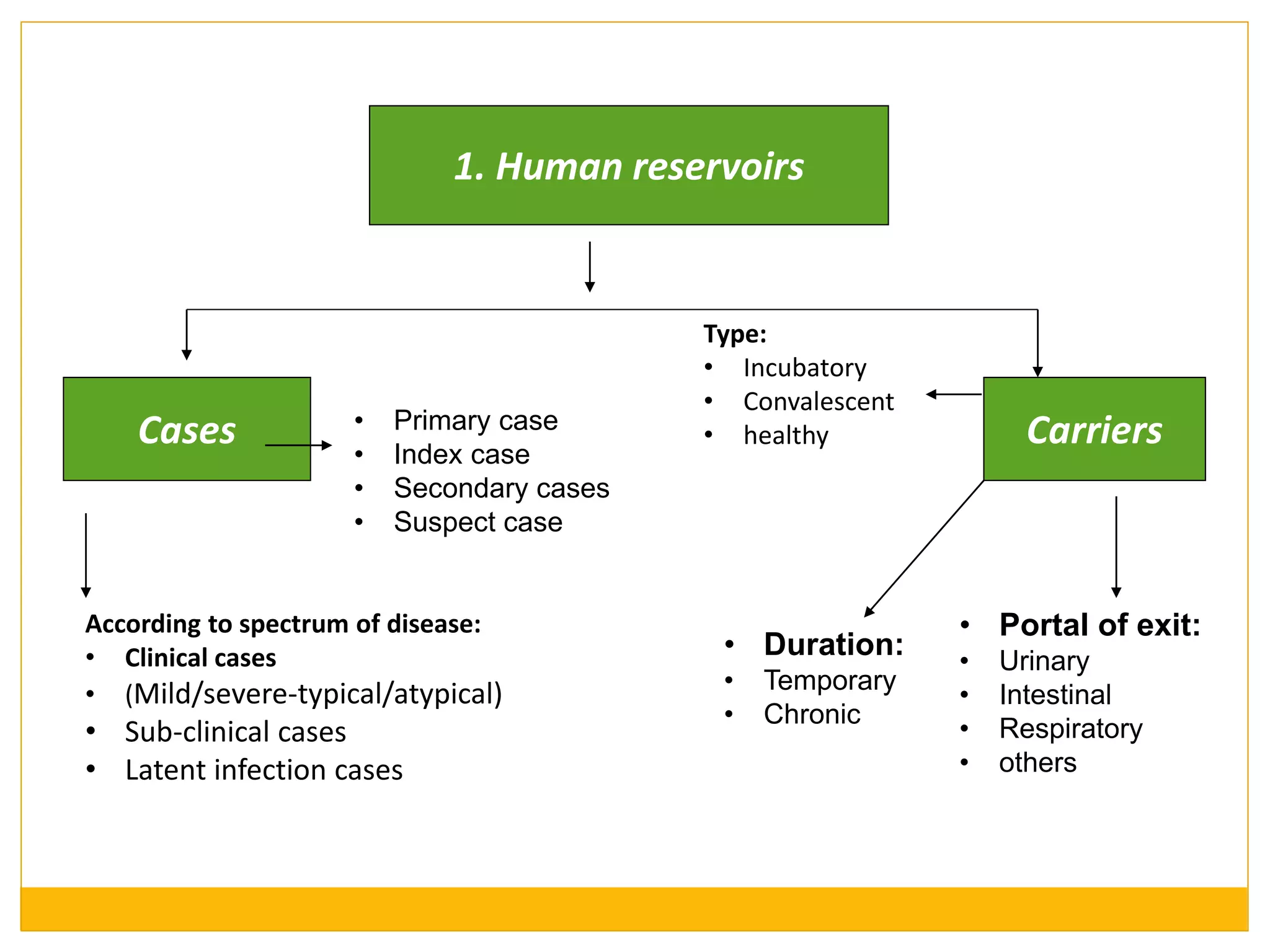 1.DYNAMICS OF DISEASE TRANSMISSION AND CHAIN OF INFECTIONS | PPTX