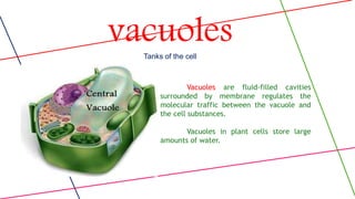 2. cell structure and functions | PPTX