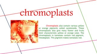 2. cell structure and functions | PPTX