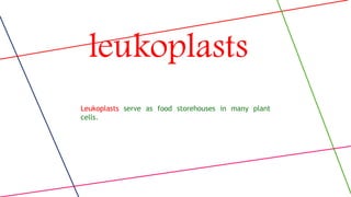 2. cell structure and functions | PPTX