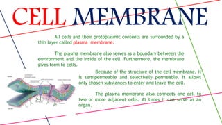 2. cell structure and functions | PPTX
