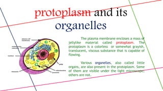 2. cell structure and functions | PPTX