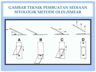 Sitohistoteknologi | PPTX