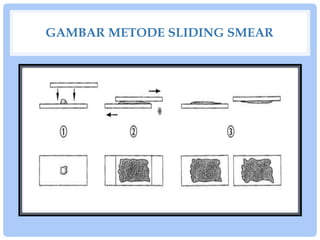 Sitohistoteknologi | PPTX