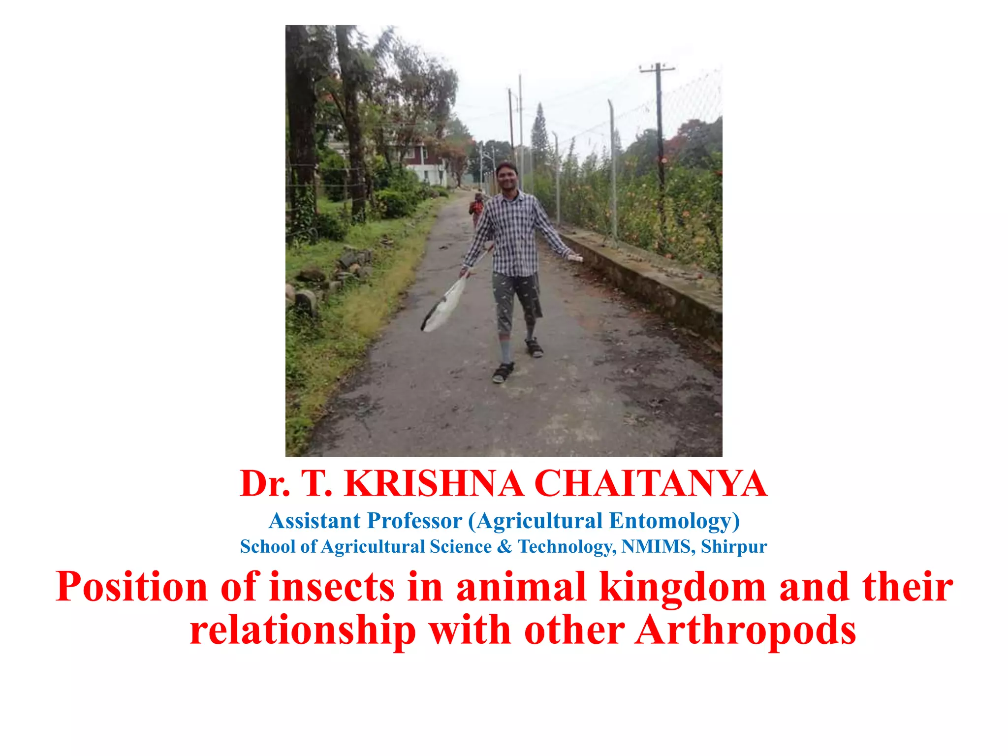 Position of insects in animal kingdom and their relationship with other ...