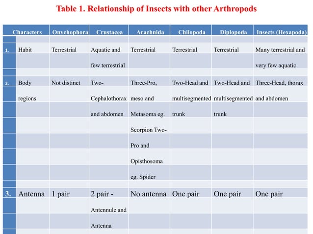 Position of insects in animal kingdom and their relationship with other ...