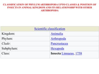 Position of insects in animal kingdom and their relationship with other ...