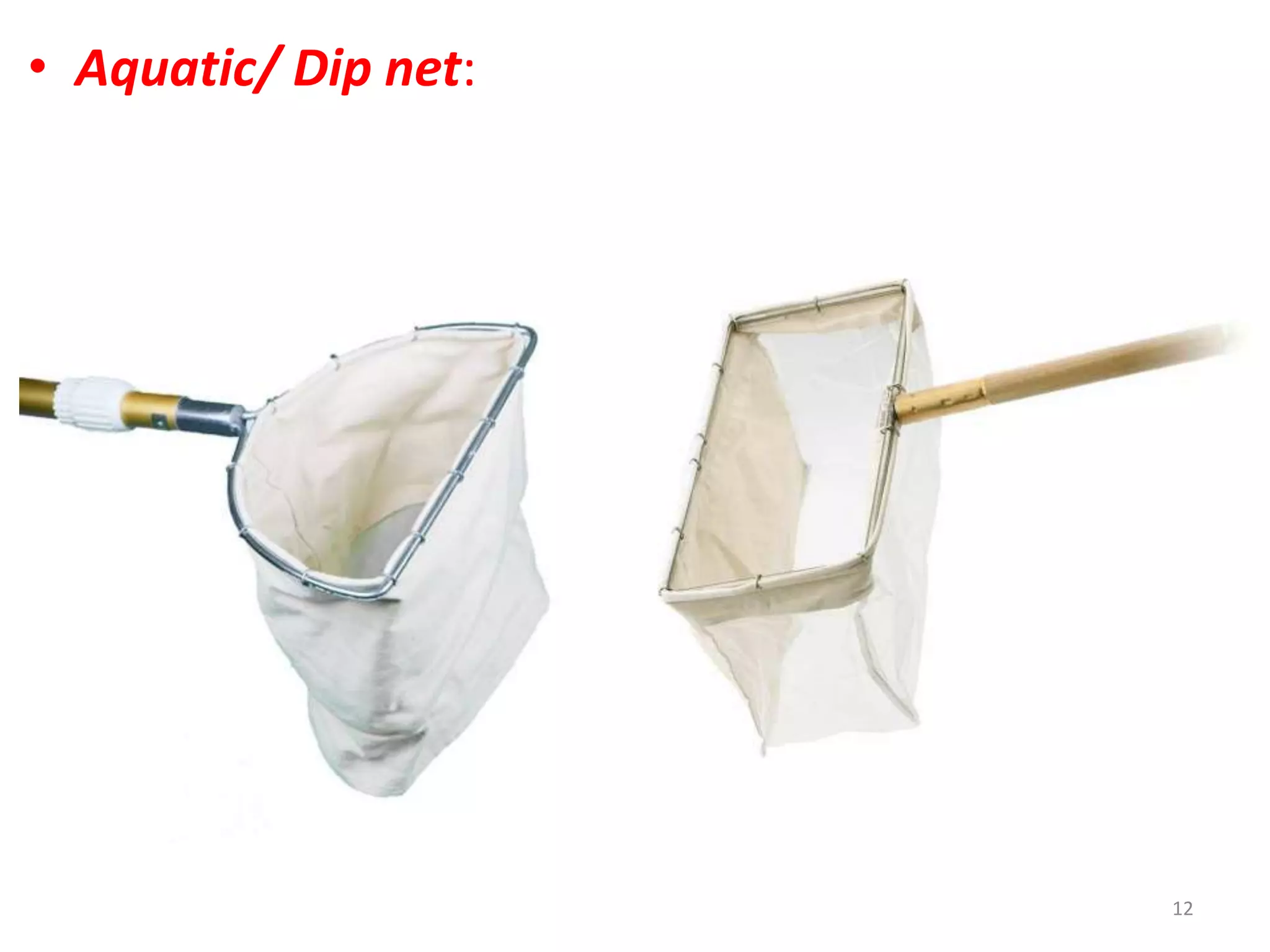 Methods of insect collection, preservation, display and storage by Dr ...