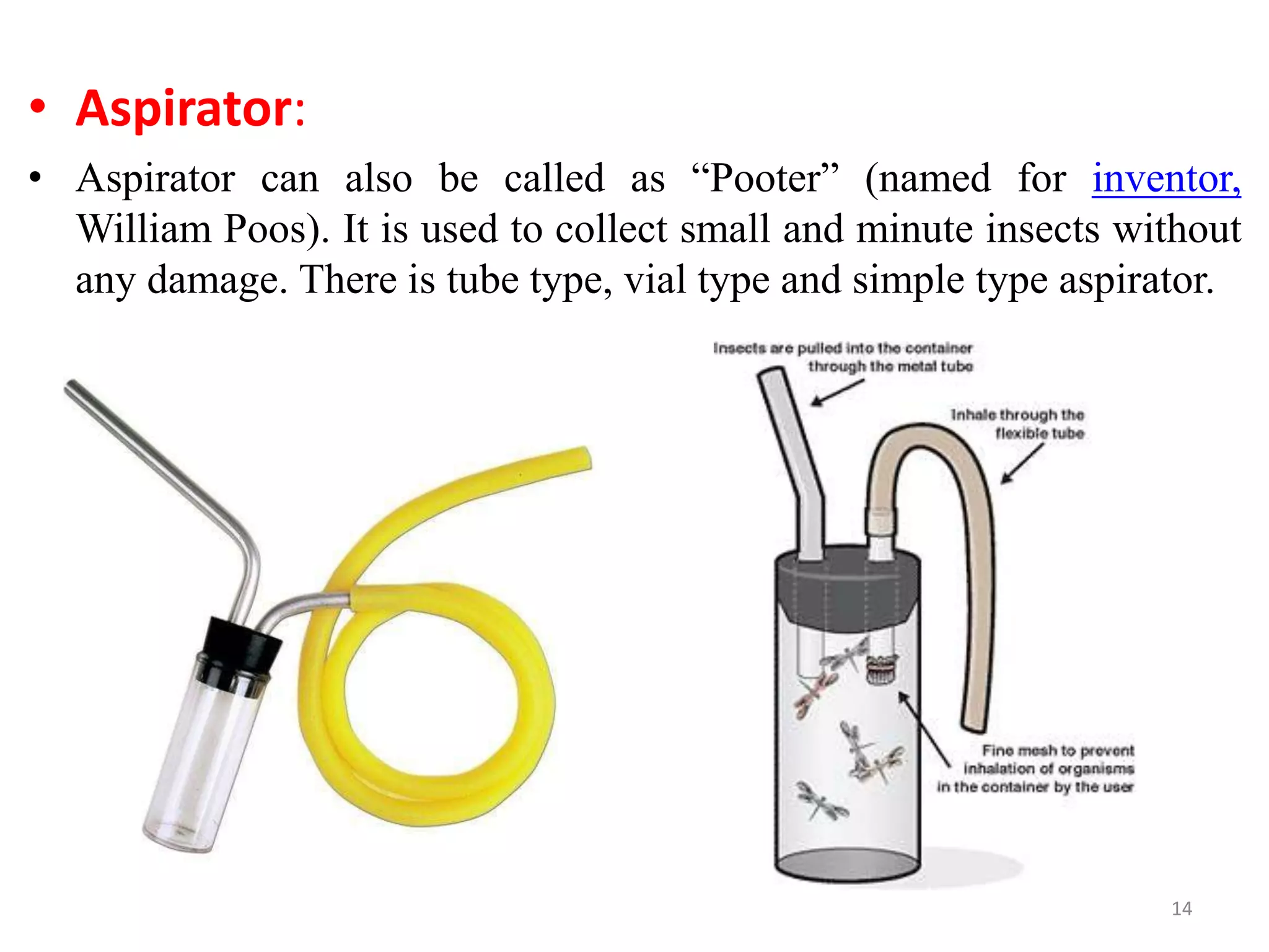Methods of insect collection, preservation, display and storage by Dr ...