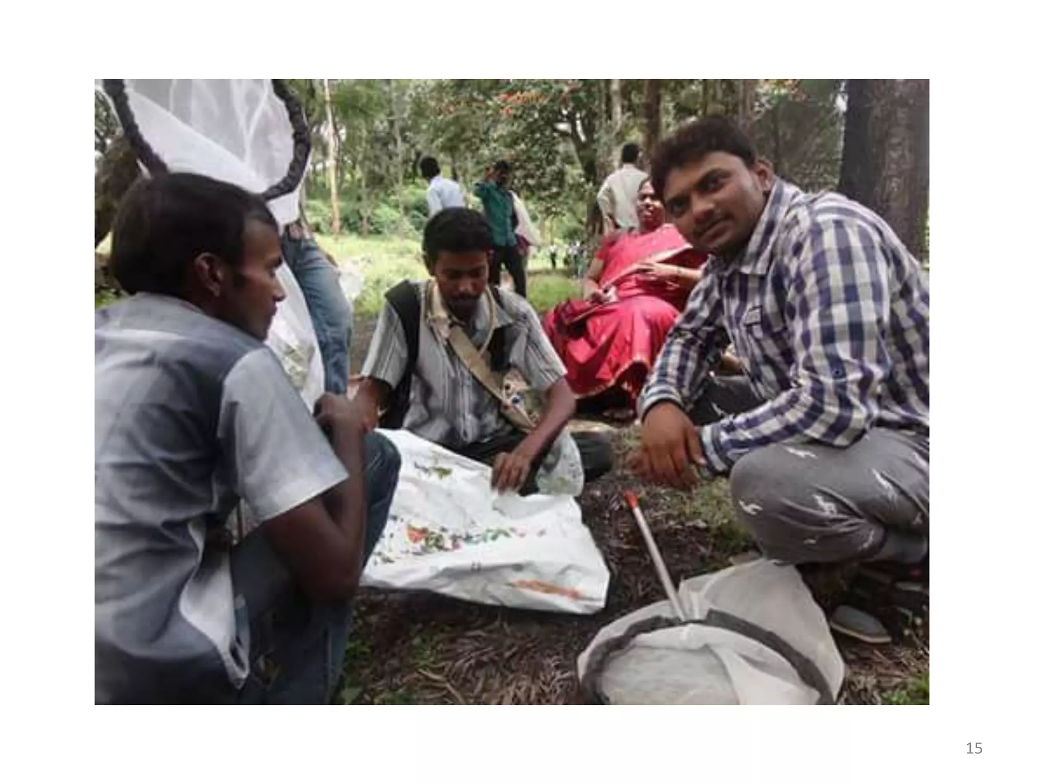 Methods of insect collection, preservation, display and storage by Dr ...