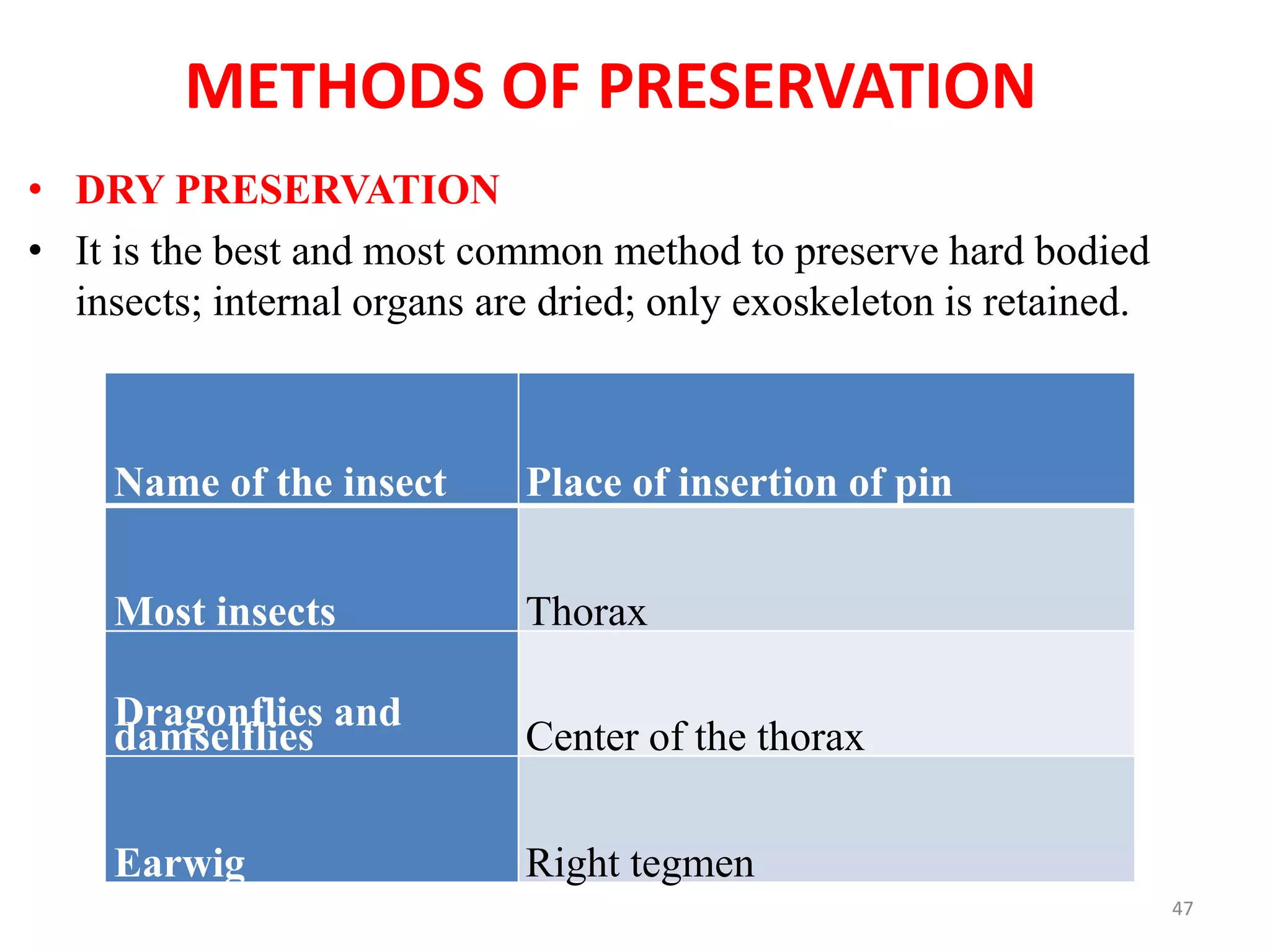Methods of insect collection, preservation, display and storage by Dr ...