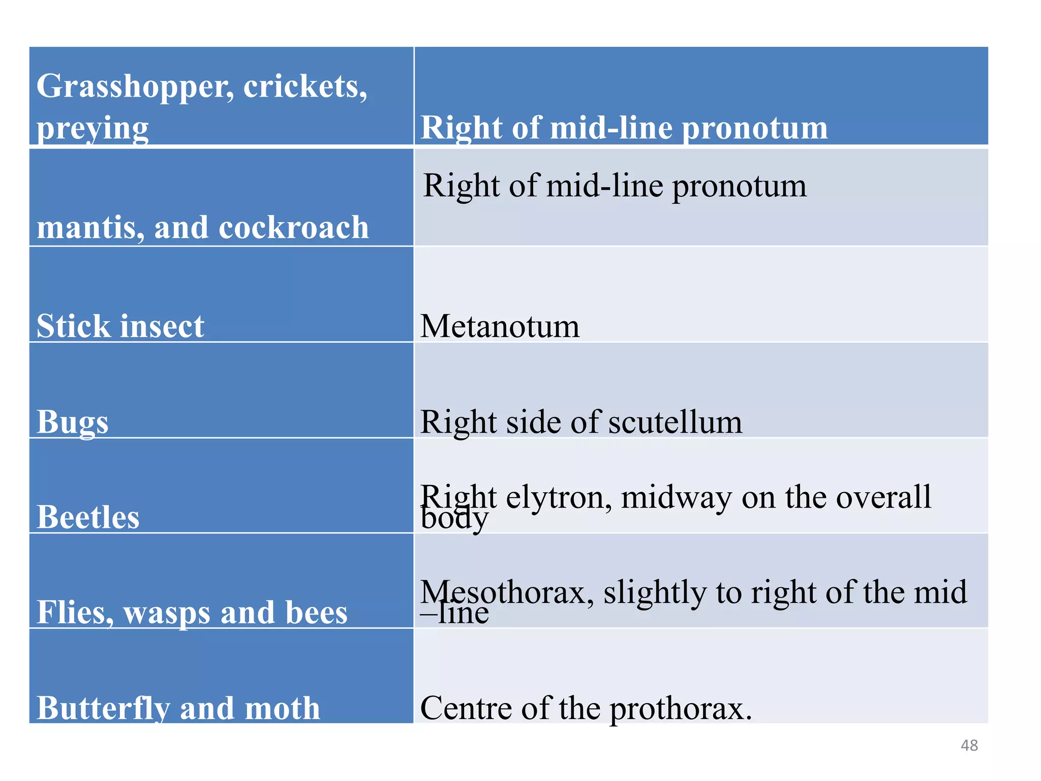 Methods of insect collection, preservation, display and storage by Dr ...