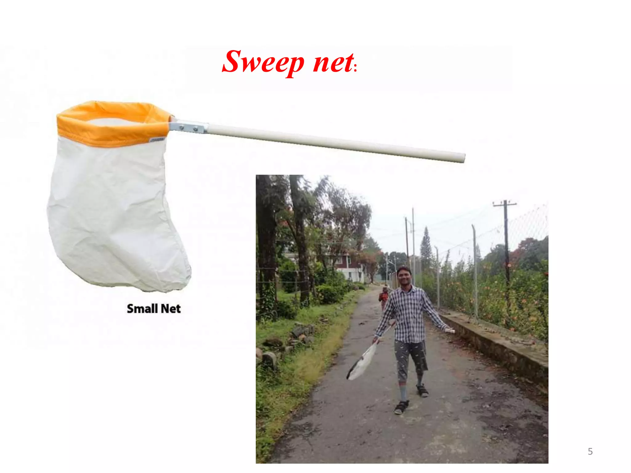 Methods of insect collection, preservation, display and storage by Dr ...